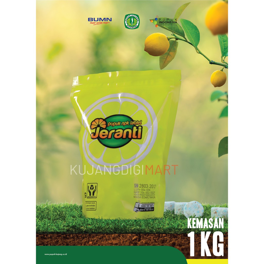 Jual PUPUK TANAMAN BUAH NPK JERANTI PUPUK KUJANG 1 KG | Shopee Indonesia