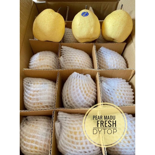 Jual Buah Pir Kuning Pear Madu Manis Fresh - 500 Gram | Shopee Indonesia
