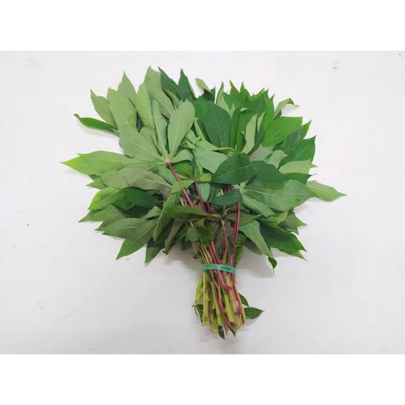 Jual DAUN Singkong/Pohpohan/Pandan/Kucai/Pisang/Katuk (per Ikat ...