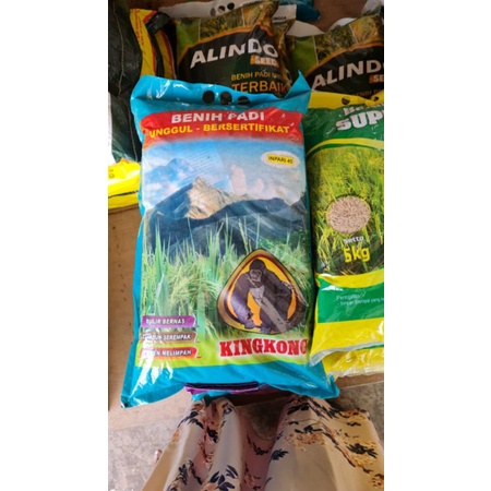 Jual BENIH PADI INPARI 45 BIBIT PADI UNGGUL | Shopee Indonesia