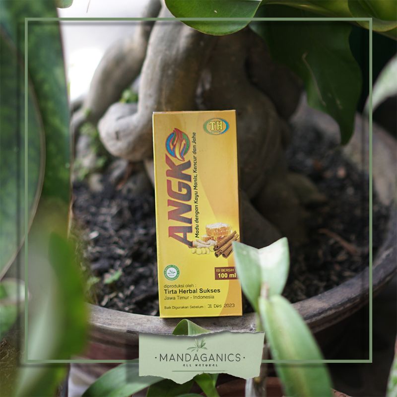 Jual BIO TH THS ANGKO | PROBIOTIK RASA JAHE by bioTH | Shopee Indonesia