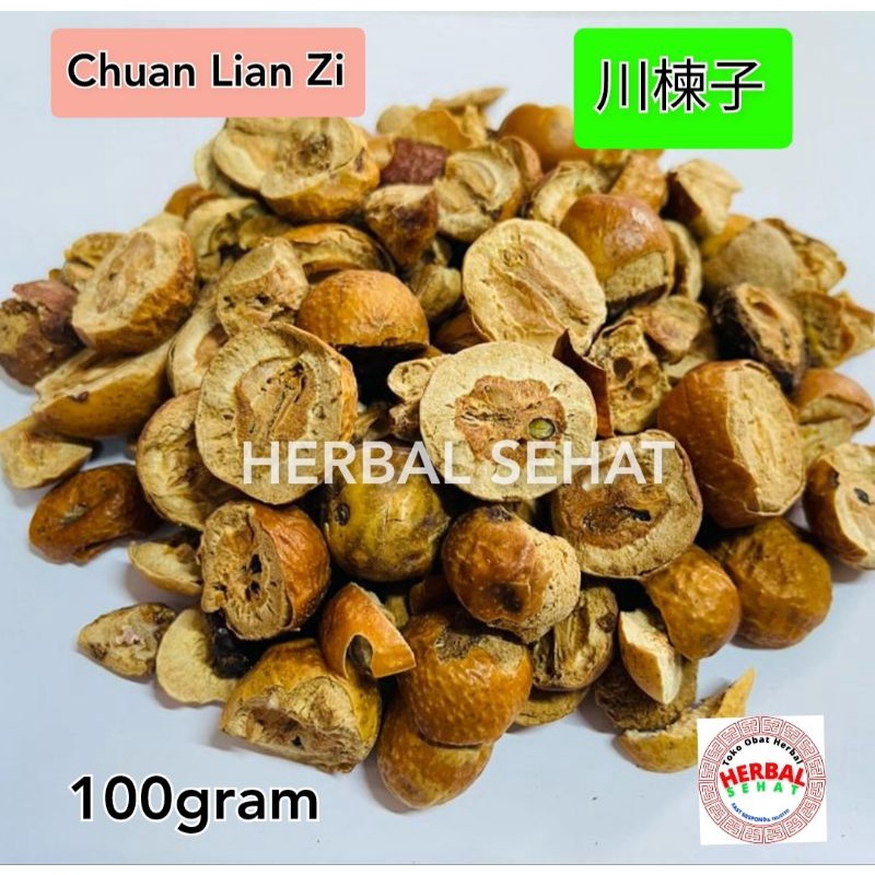 Jual Chuan Lian Zi 100 gram 川楝子 Fructus Meliae Toosendan | Shopee Indonesia