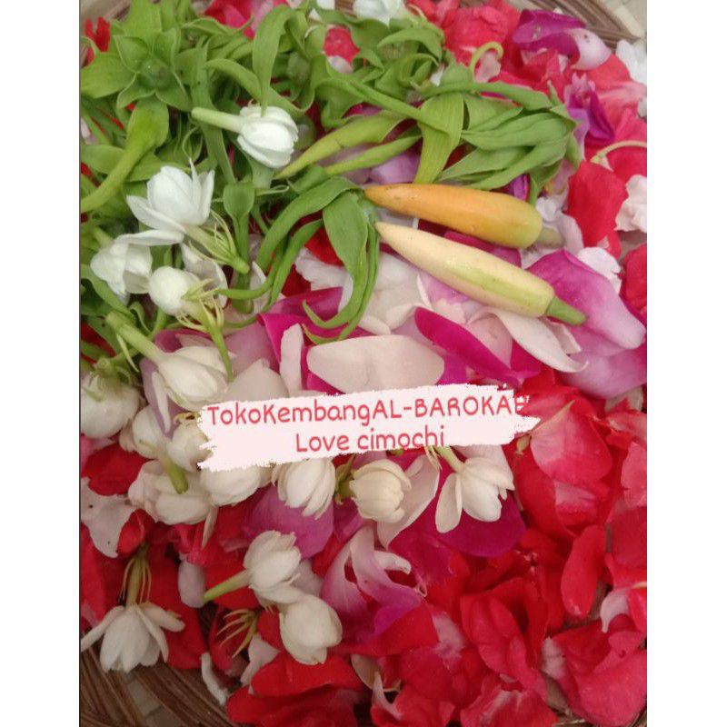 Jual kembang 7 rupa bunga Asli & segar | Shopee Indonesia