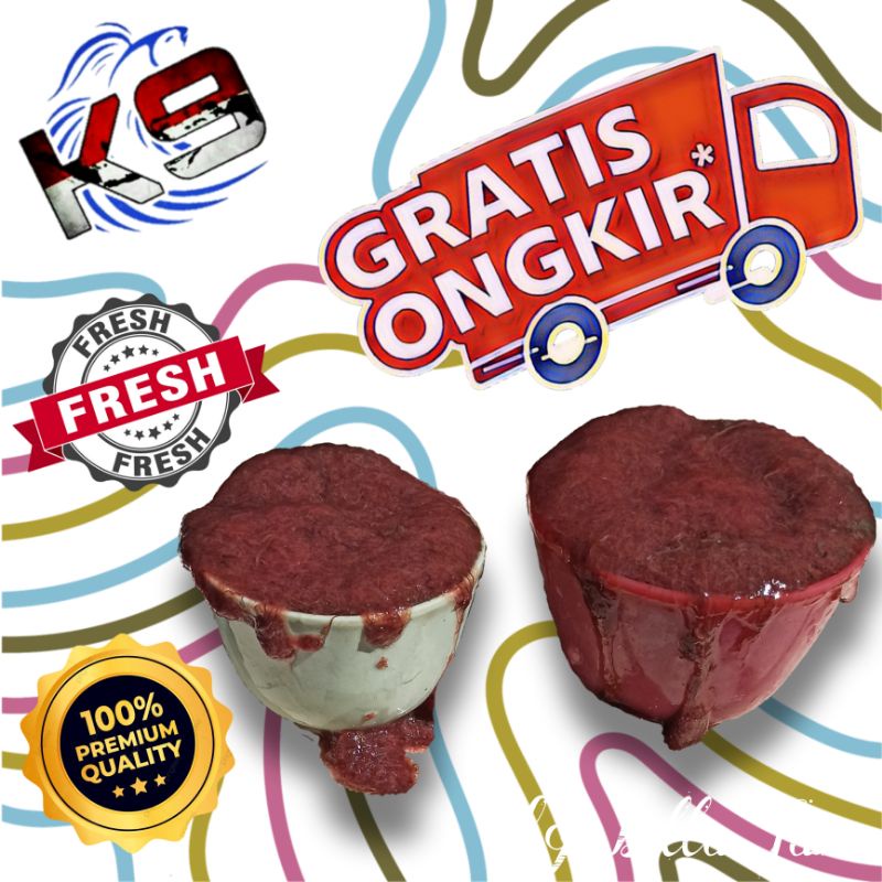 Jual CACING SUTRA / CACING RAMBUT / CASUT BERSIH kondisi HIDUP | Shopee ...