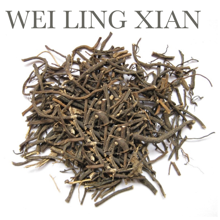 Jual [100gram - Grade A ] Wei Ling Xian / Chinese Clematis Root - [ 威灵仙 ...