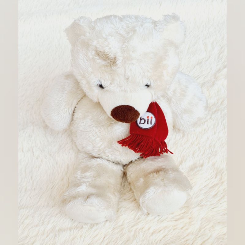 Jual Boneka Beruang Bersyal Merah/Teddy Bear with Red Scarf | Shopee ...