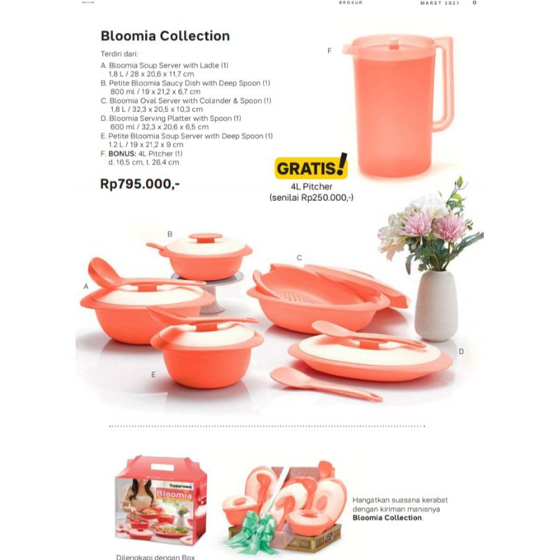 Jual bloomia collection free 4l pitcher | Shopee Indonesia
