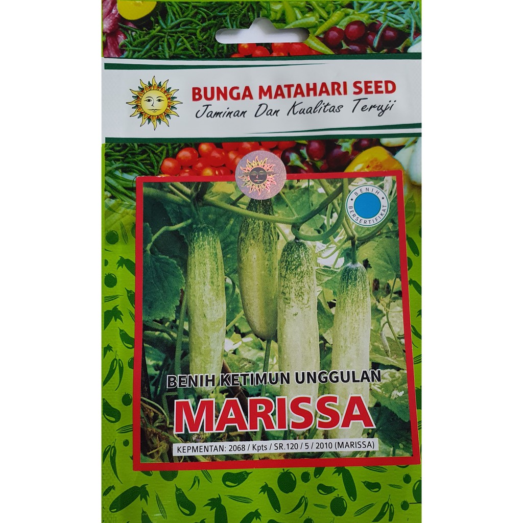 Jual Benih Ketimun Marisa (Cap Bunga Matahari) 300 butir (kemasan ...
