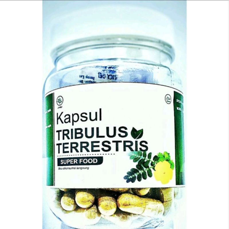 Jual KAPSUL TRIBULUS OBAT JAMU HERBAL TESTOTERON | Shopee Indonesia