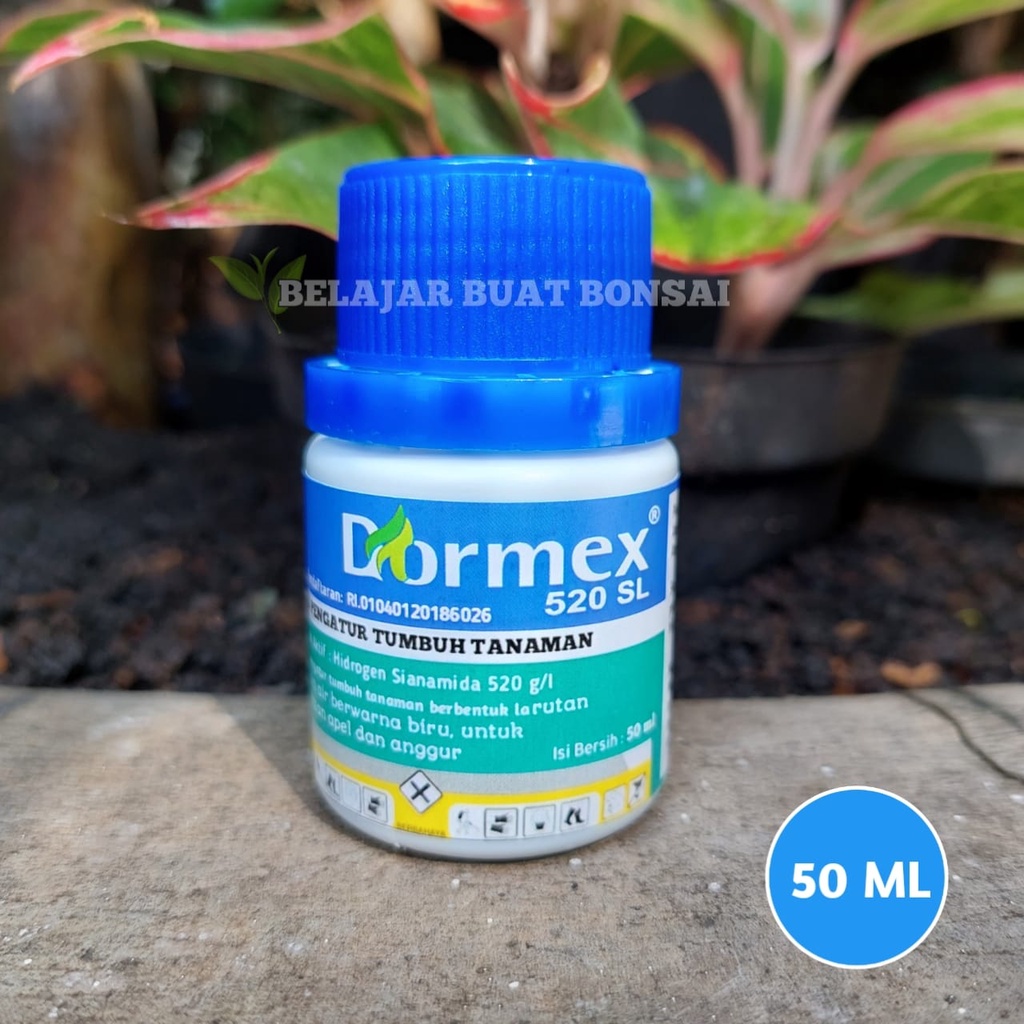 Jual Dormex 520SL Hidrogen Sianamida ZPT Apel Anggur Germany | Shopee Indonesia