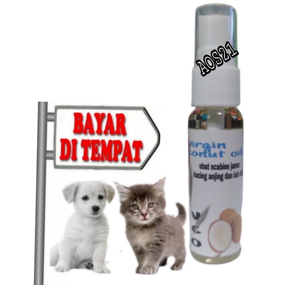 Jual VCO OBAT SCABIES KUCING ANJING SAKIT JAMUR KORENG CACINGAN ...