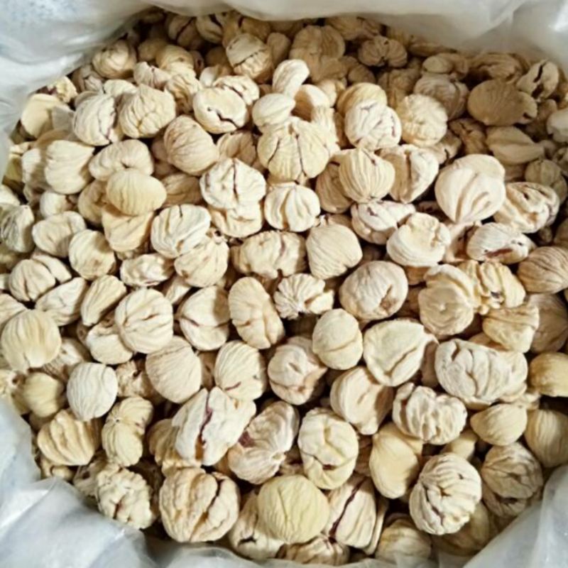 Jual lakci/chestnut 500gr -1kg | Shopee Indonesia
