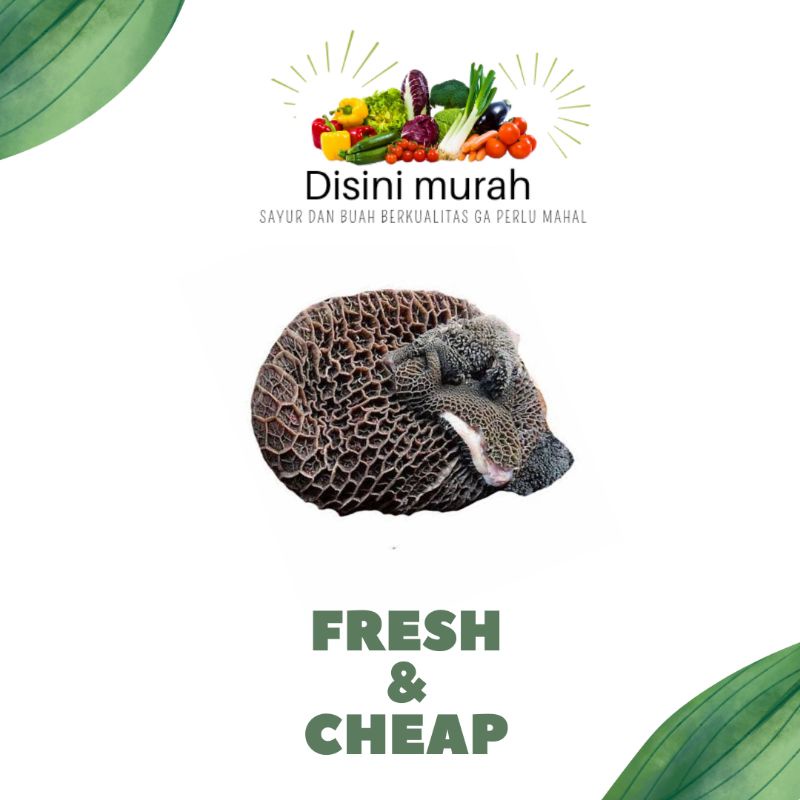 Jual babat sapi hitam fresh per 250gr | Shopee Indonesia