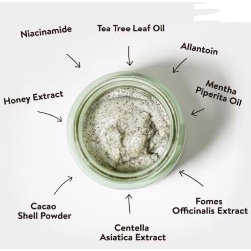 Jual N’PURE MASKER CICA CHOCOMINT CLAY MASK NPURE | Shopee Indonesia