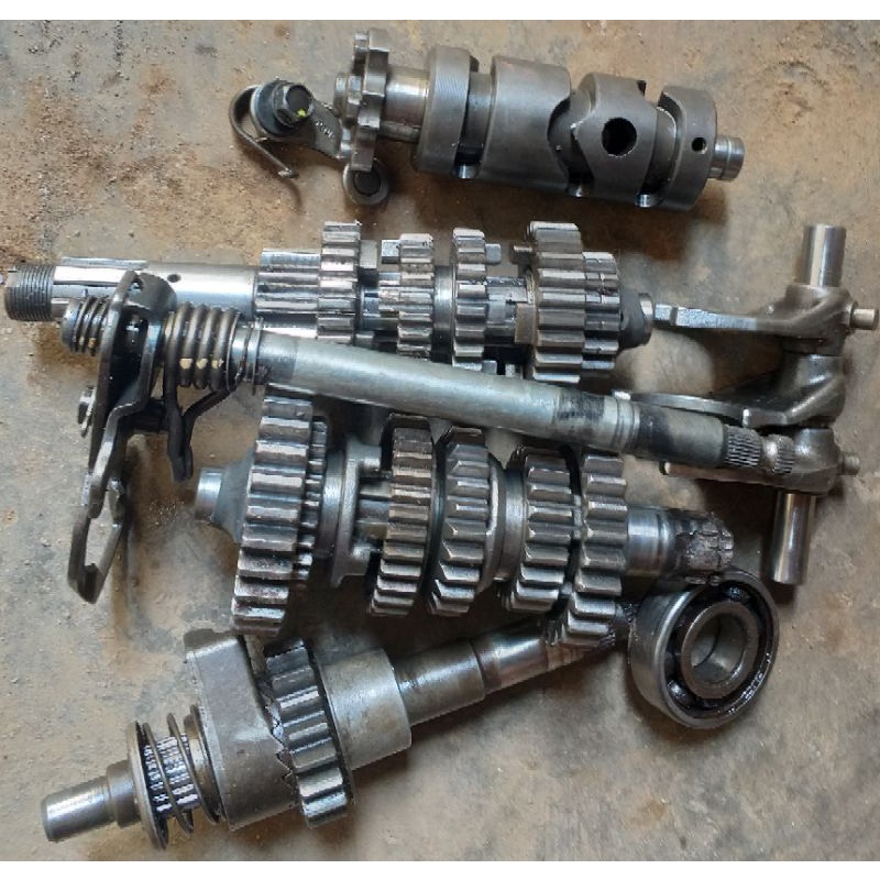 Jual tramisi/rasio tiger/tiger revo | Shopee Indonesia