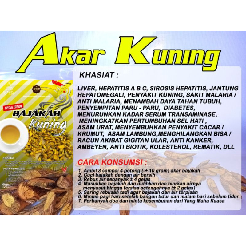 Jual Bajakah Akar Kuning (A1 Grade Premium A+) | Shopee Indonesia