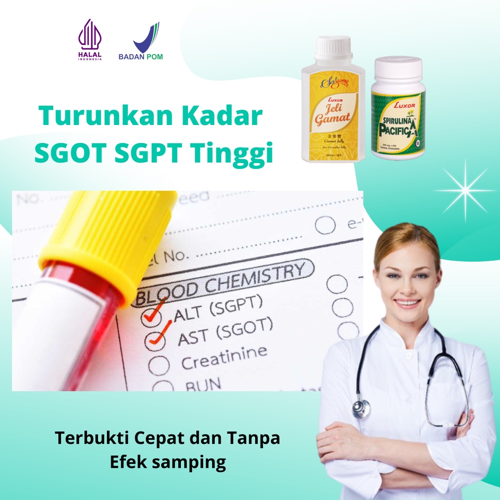Jual Obat Herbal Penurun SGOT dan SGPT | Shopee Indonesia