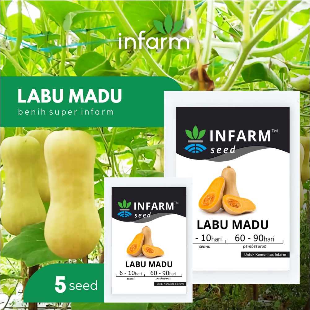 Jual INFARM - Benih Bibit Biji Super Labu Madu | Shopee Indonesia