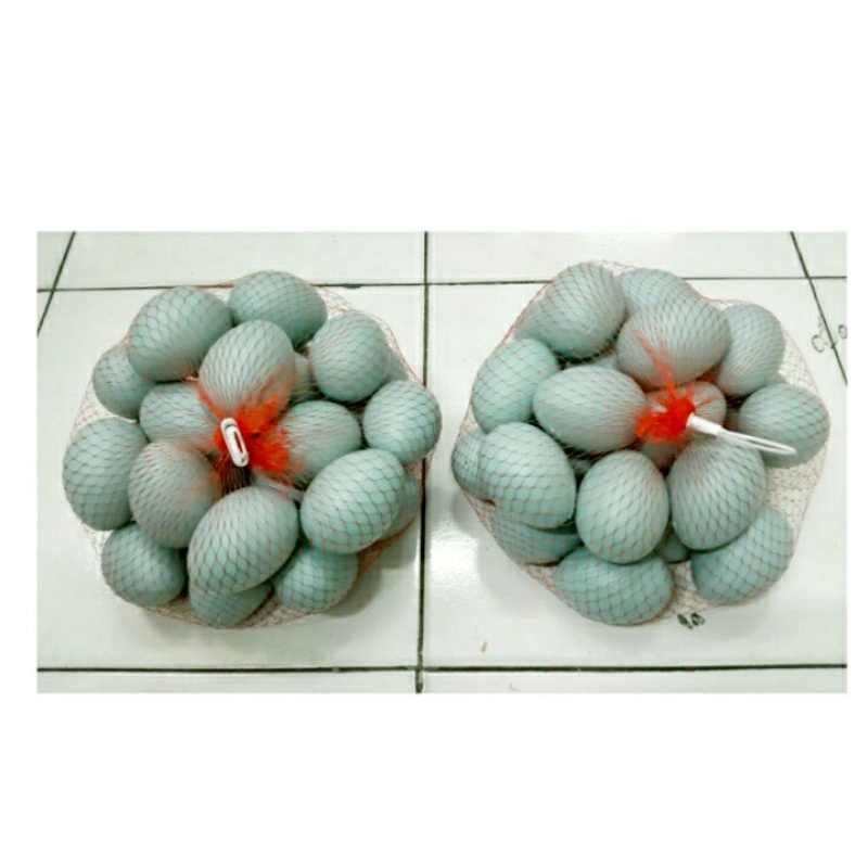 Jual Mainan Telur Asin Bebek Plastik Isi 24 Pcs | Shopee Indonesia