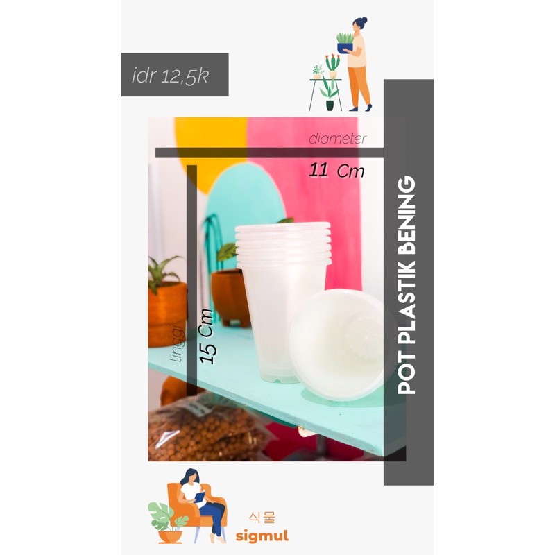 Jual Pot Plastik Bening | Shopee Indonesia