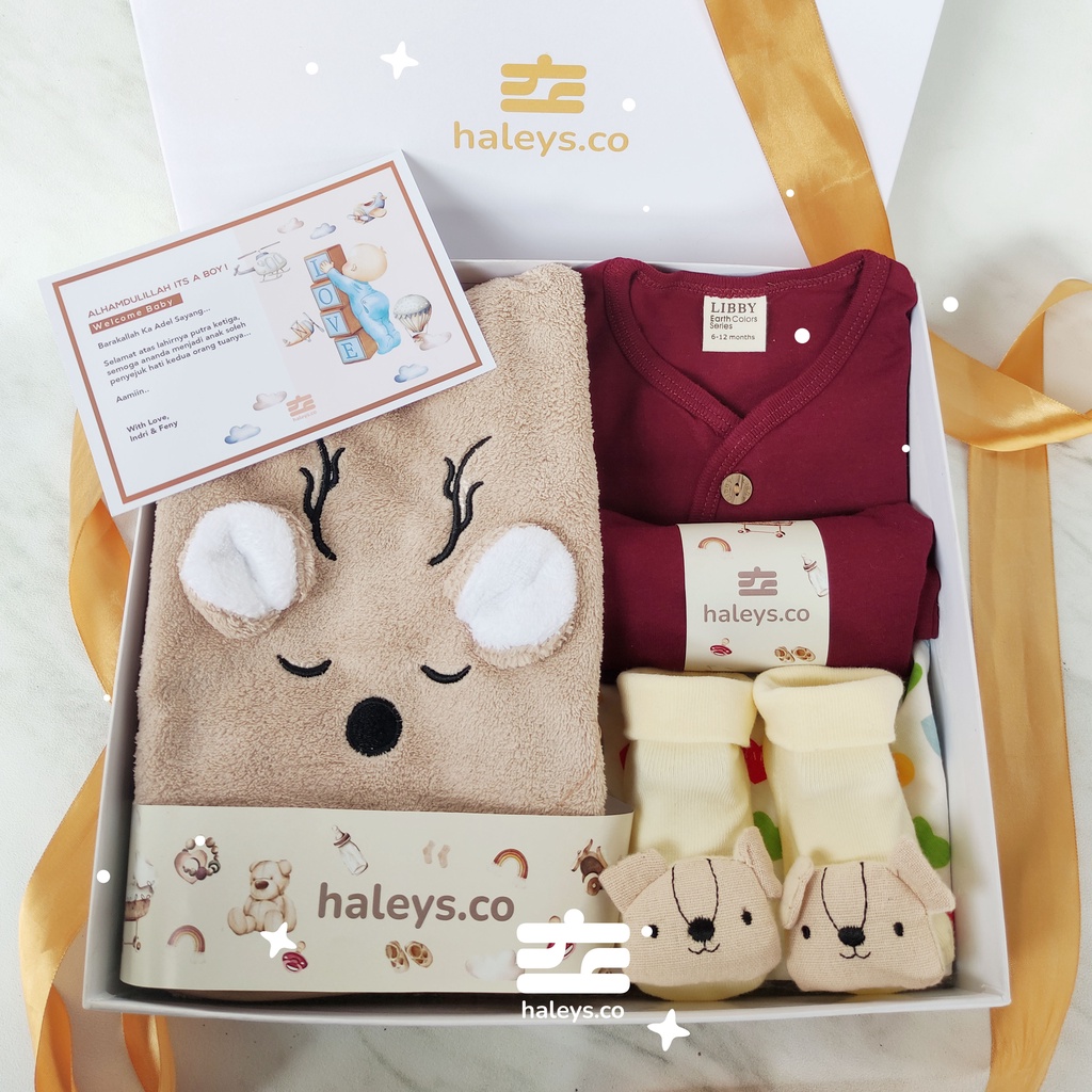 Jual Haleys.co | Ruby Rudolf Boys Baby Hampers 0-12 months/ Hampers ...