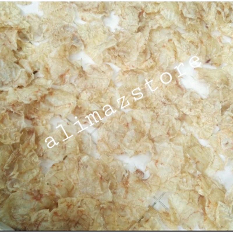 Jual Perut Ikan Mentah/ Gelembung Ikan Manyung / Huffio / Yi Phiao/Bago ...