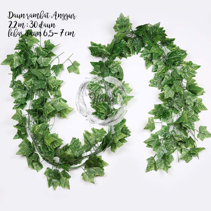 Jual Daun Rambat anggur ivy / daun anggur plastik / daun sulur dekorasi ...