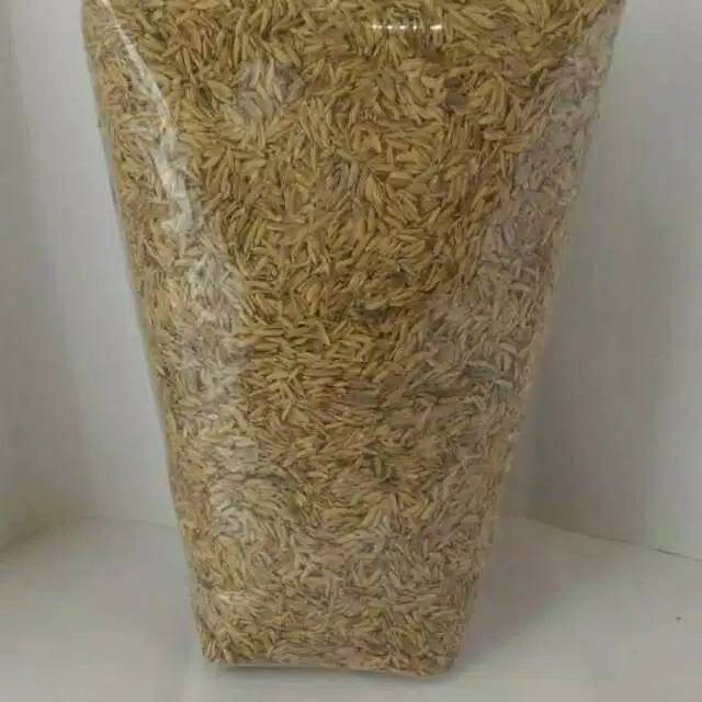 Jual Media tanam sekam murni - sekam mentah - kulit padi 500gram ...