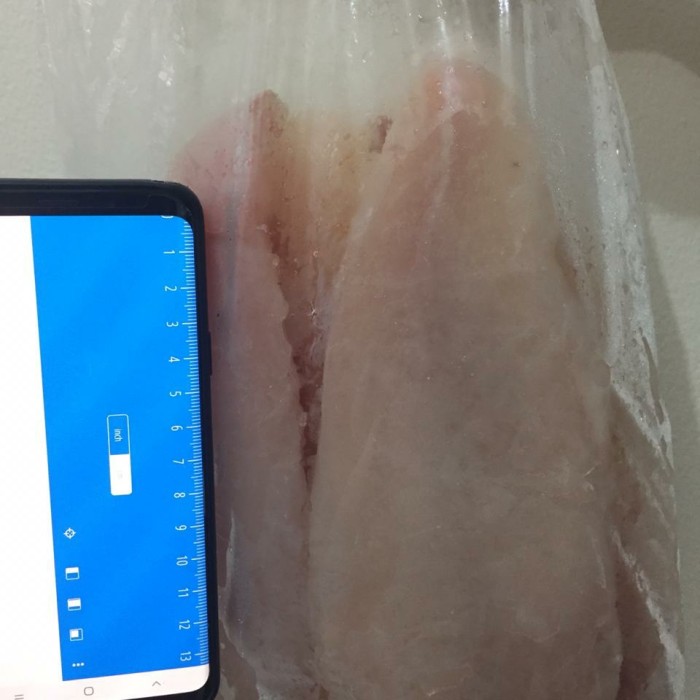 Jual ikan dori frozen fillet 1 kg | Shopee Indonesia