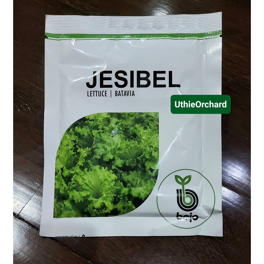 Jual Benih Bejo Seed - Selada Batavia Jesibel Kemasan 1000 pills ...