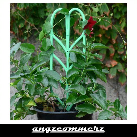 Jual 3 pcs Rak Cagak Penopang Penyangga Tanaman Tomat 3 biji Rack ...
