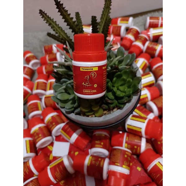 Jual pil pelangsing herbal by fenny frans | Shopee Indonesia