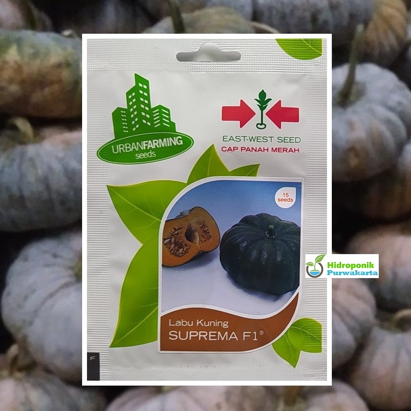 Jual Cap Panah Merah Labu Suprema F1 Daging Warna Kuning Isi 15 Butir ...