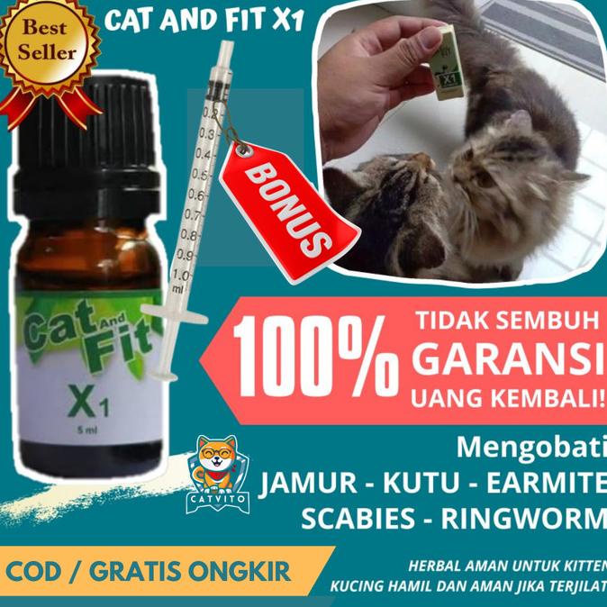 Jual PROMO !!! Obat Kucing CAT and FIT X1 Ultimate Untuk Kutu Jamur ...