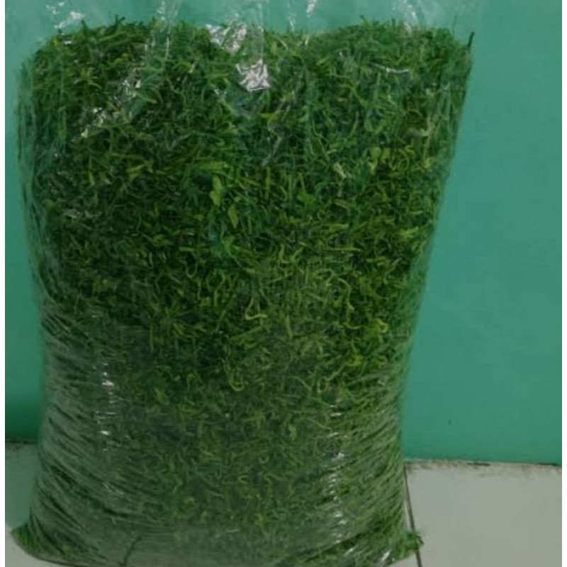 Jual Pandan iris Tabur / Pandan Tabur / Daun Pandan Iris untuk tabur ...