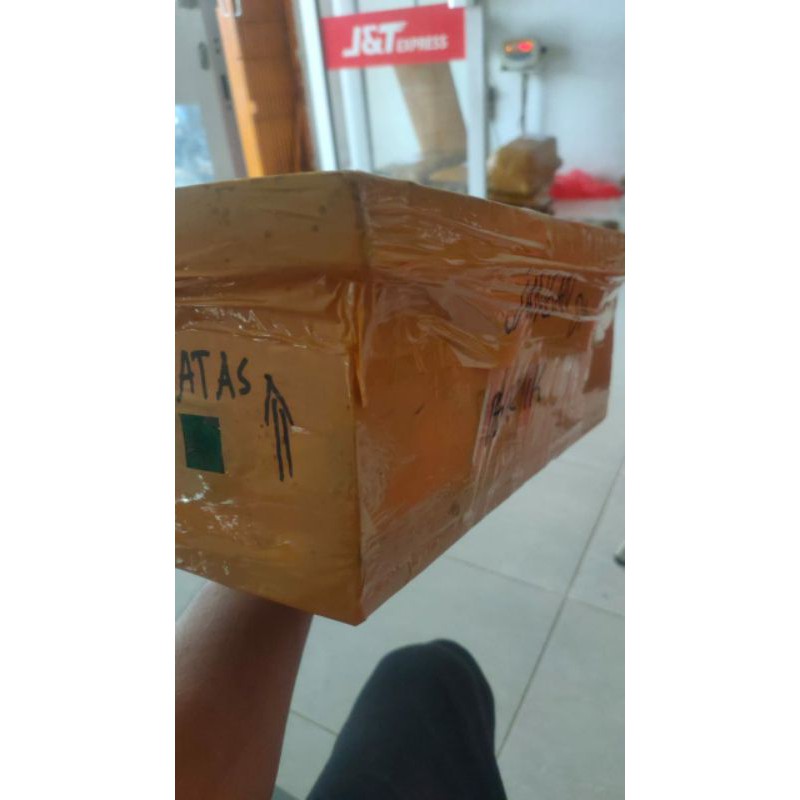 Jual koloni klanceng terminata ( trigona kelulut teuweul ) di dalam ...
