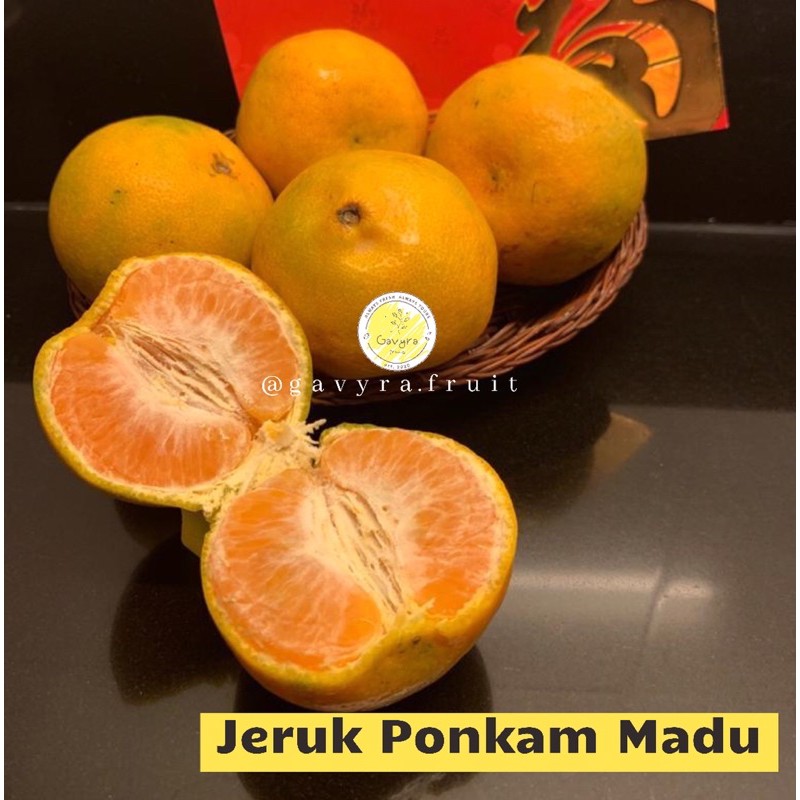 Jual Jeruk Ponkam Madu Manis (Kg) | Shopee Indonesia