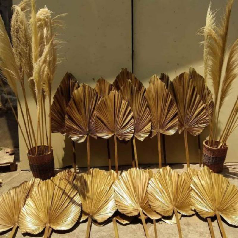 Jual Dekorasi Rustik Palem Palm Mini Rayung Pampas Tanaman Daun Kering ...