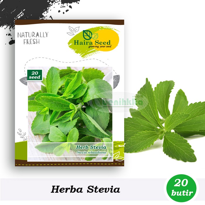 Jual Benih-Bibit Herba Stevia (Haira Seed) | Shopee Indonesia