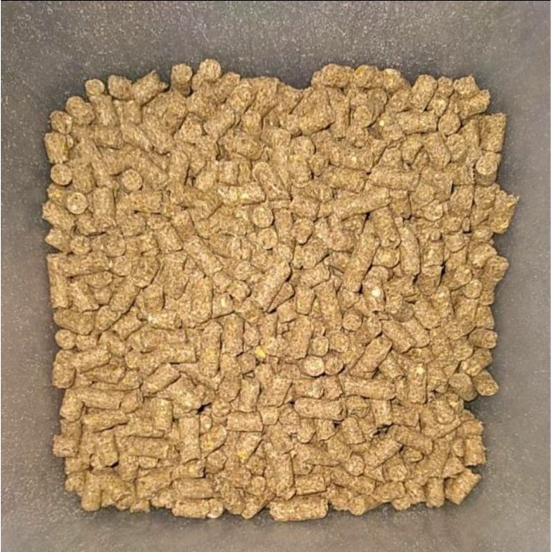 Jual Susu A Comfeed konsentrat sapi perah / sapi laktasi | Shopee Indonesia