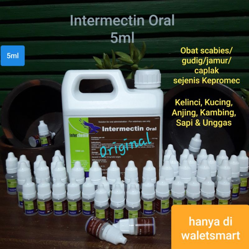 Jual Intermectin Oral 5ml sejenis Kepromec Obat Scabies Jamur Parasit ...