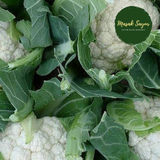 Jual Bunga kol bandung 500 gram | Shopee Indonesia