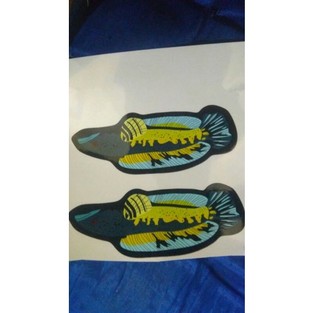 Jual Stiker Ikan Channa | Shopee Indonesia