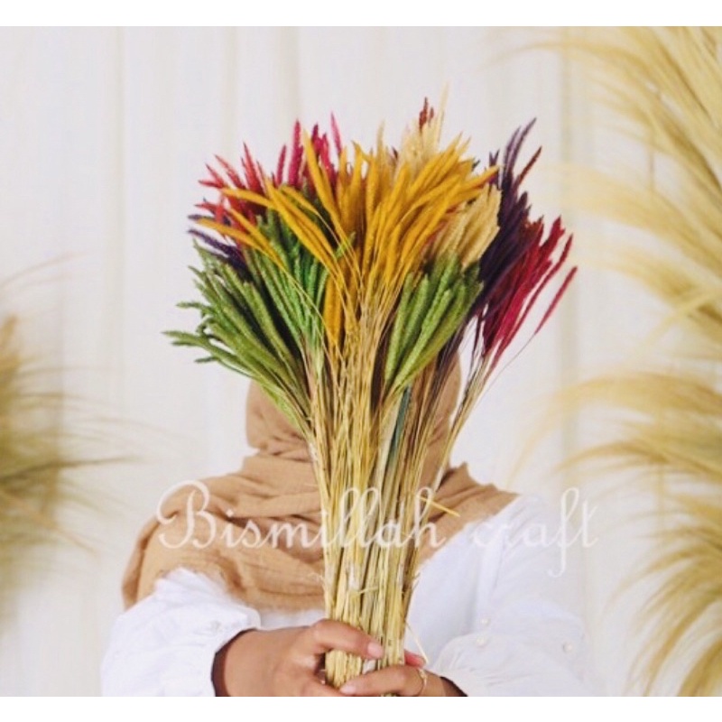 Jual PROMO LAGURUS PENDEK ISI 30-40biji bunga craft bunga kapas daun ...