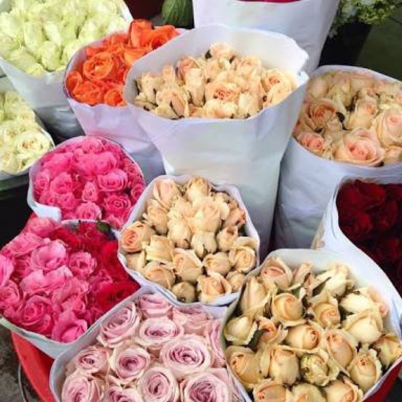 Jual DELIVERY NOW/ Jual Bunga ASLI BATANGAN/BUNGA SEGAR Potong/Fresh ...