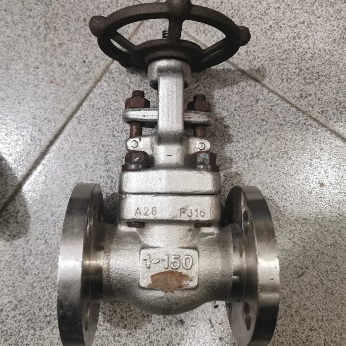 Jual Gate Valve 1" Flange End 150# Body SS316 | Shopee Indonesia