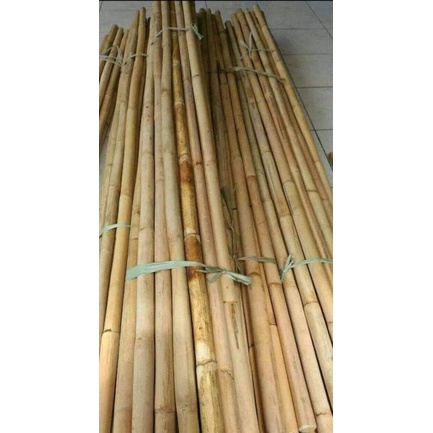 Jual stik rotan batangan rotan pentungan rotan tongkat rotan murah ...
