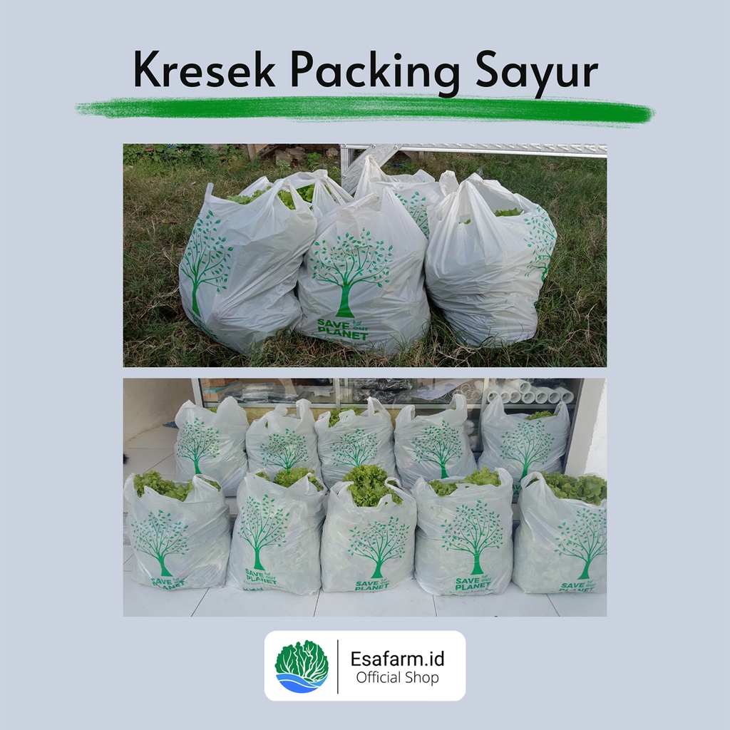 Jual Plastik Kresek untuk Packing Sayur / Buah / Produk Pertanian Ramah ...