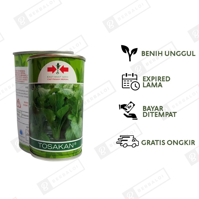 Jual COD Tosakan Benih Sawi Caisim Dataran Rendah Kaleng 100 Gram ...