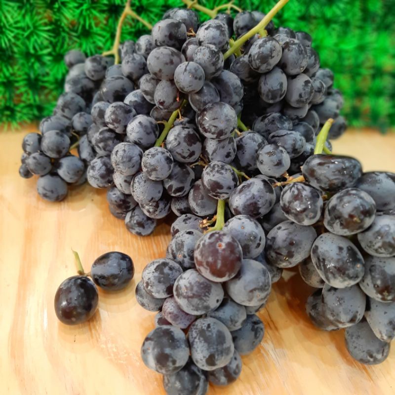 Jual Anggur Black Autumn 500gr fresh Bogor | Shopee Indonesia